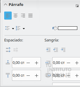Procesadores de textos nivel básico. Tu Instituto Online.